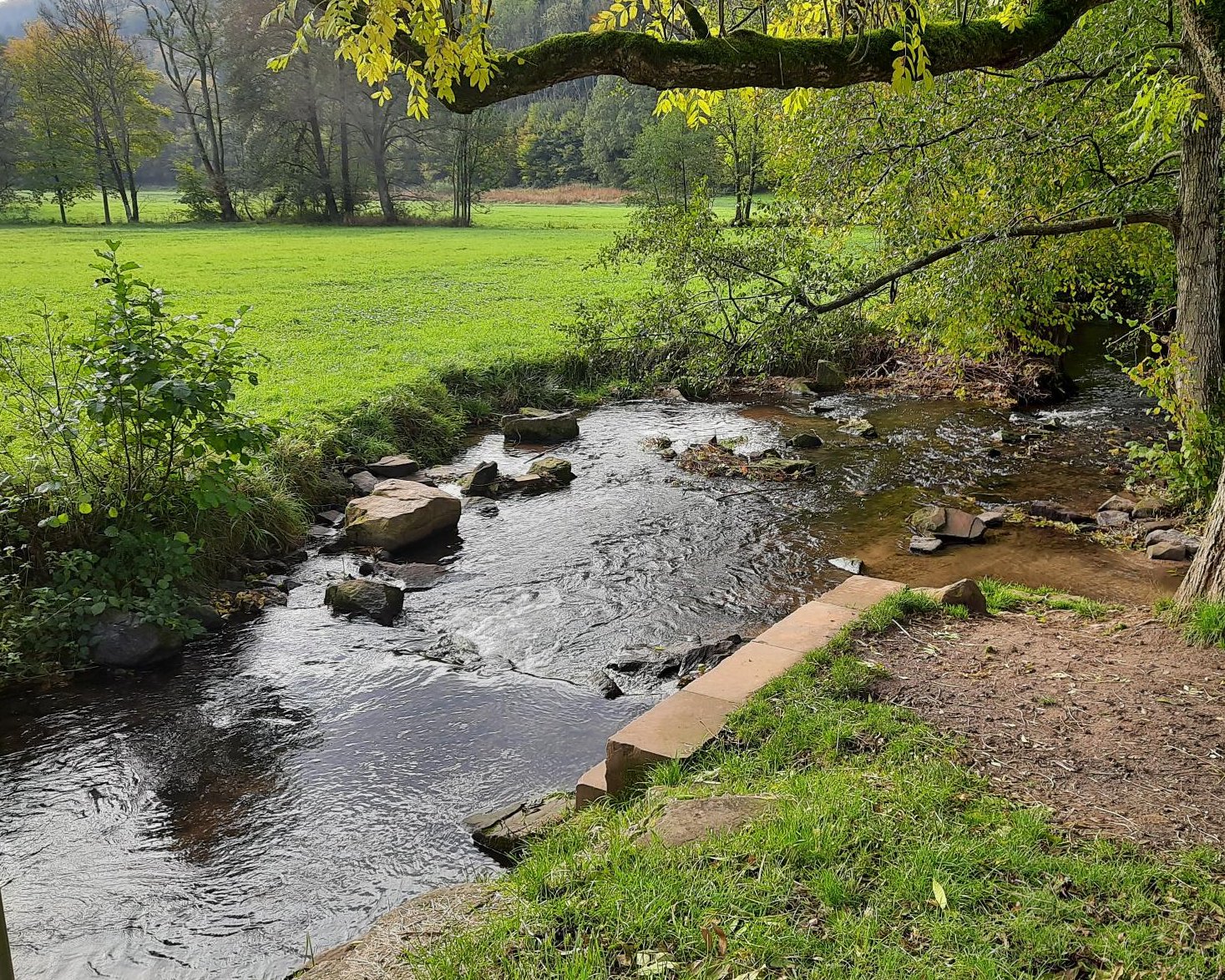 Alles im Flow | SRH University